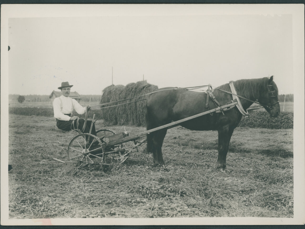 Emigration Archives - Swedish Finn Historical Society