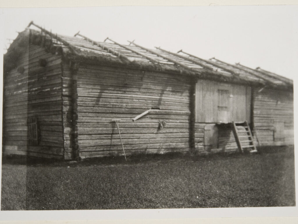 Emigration Archives - Swedish Finn Historical Society