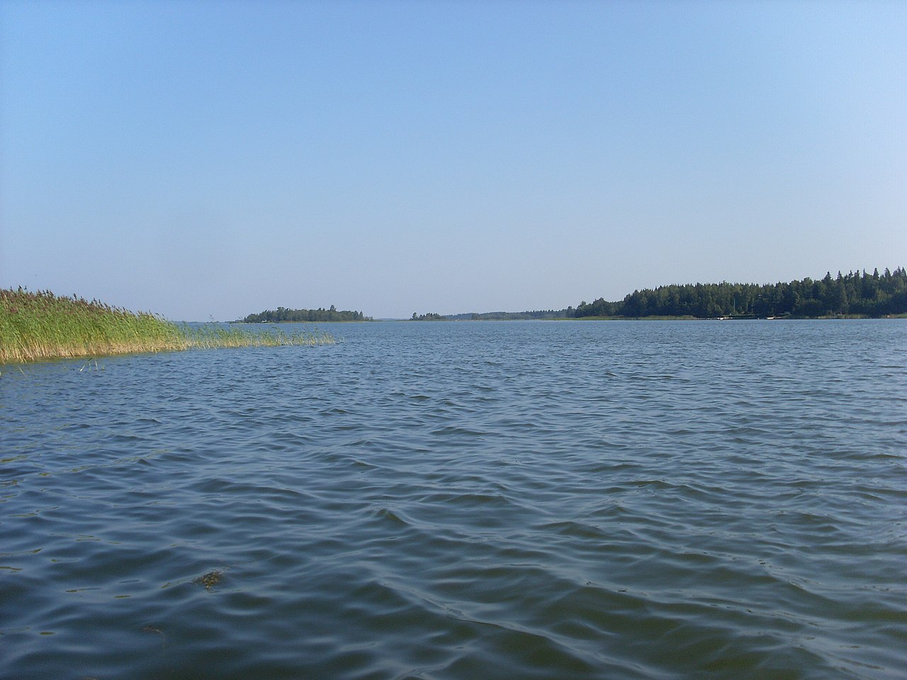 Forest Finns Still Haunt the DNA of Sweden - Swedish Finn Historical ...