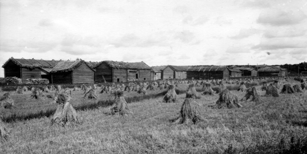 Vörå - Swedish Finn Historical Society