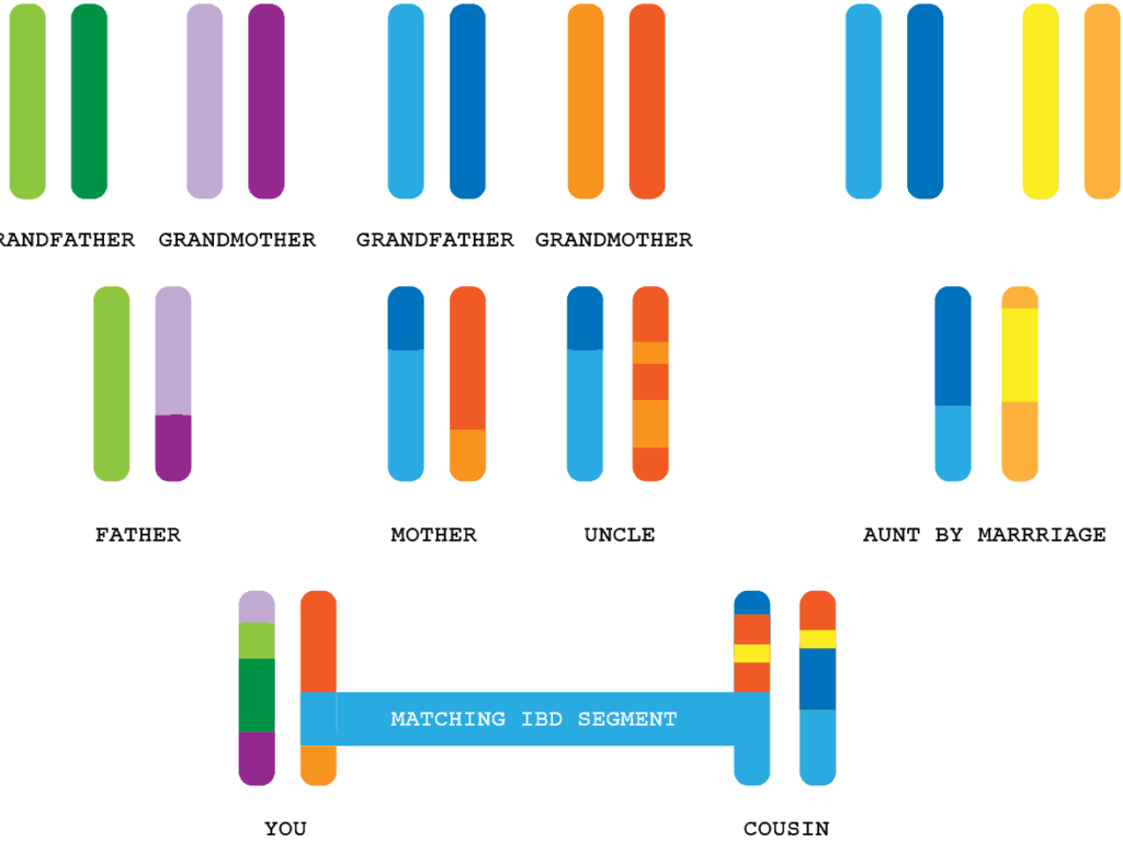 Front page - Swedish Finn Historical Society
